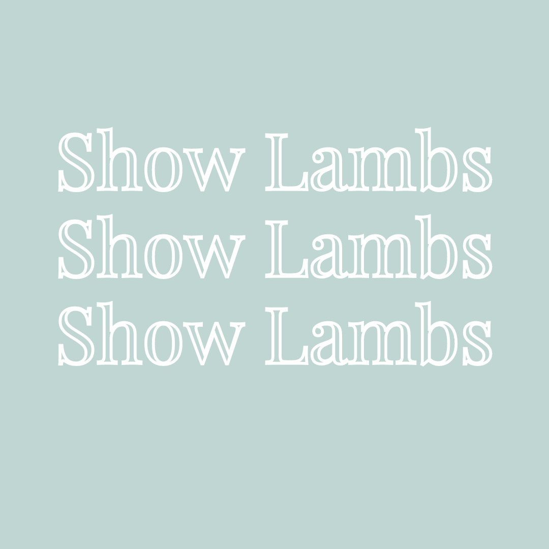 Show Lamb Digital Downloads – DoubleBarnDesigns
